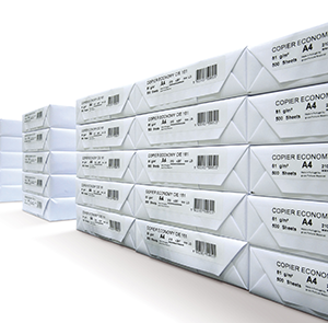 Home [bwpapersystems-sf-cvrt.azurewebsites.net]